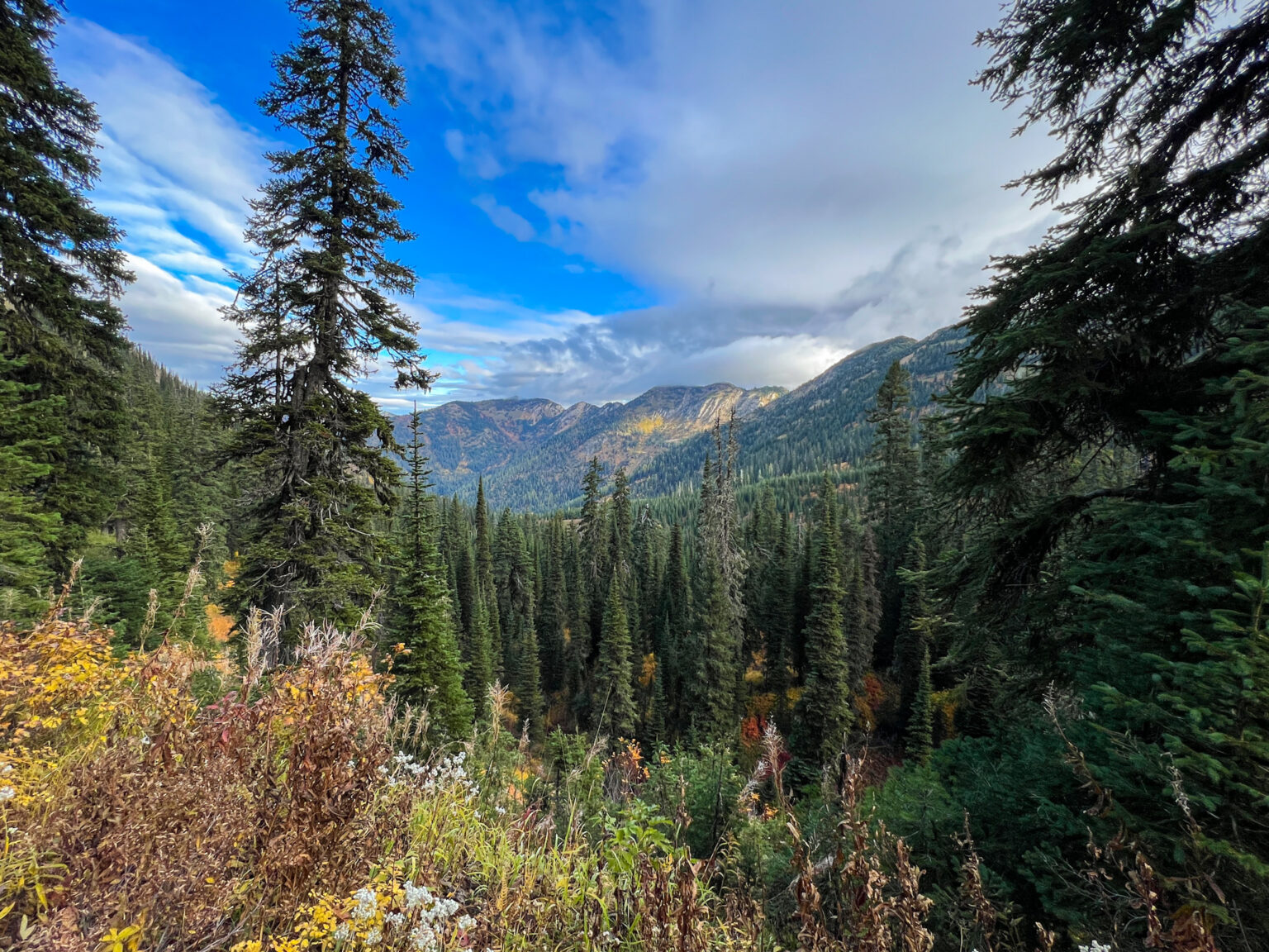 SUMMER IN THE FLATHEAD VALLEY
